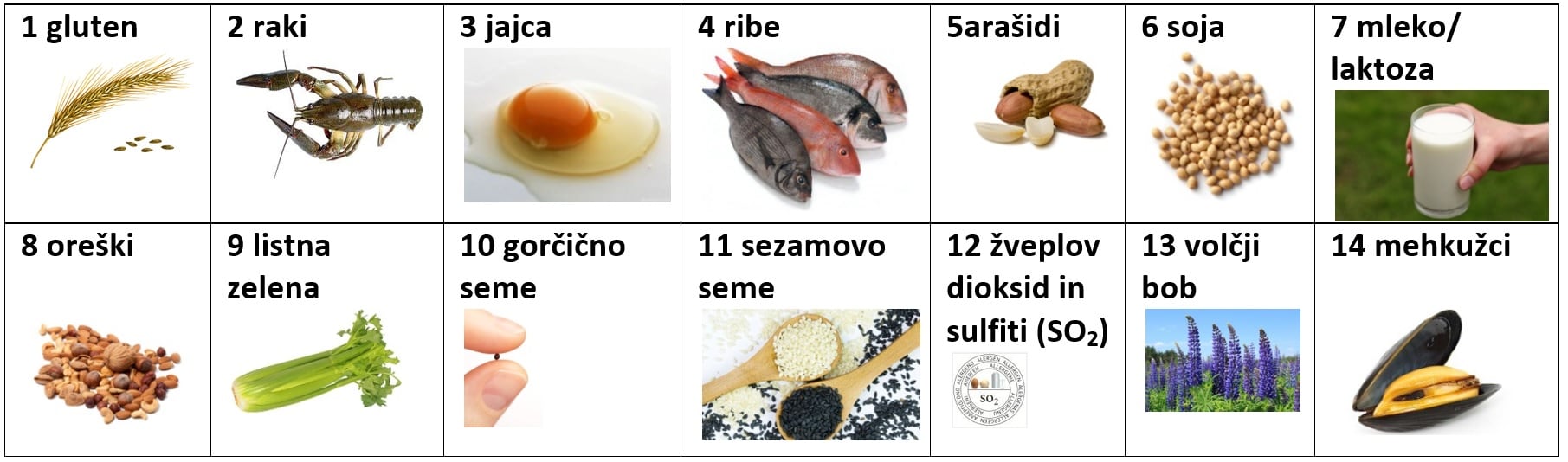 Alergeni v prehrani – Vrtec Bled